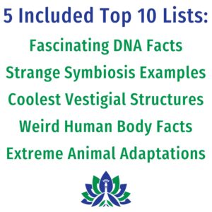 5 Biology Sub Plans: Engaging Articles and Worksheets - Flying Colors ...