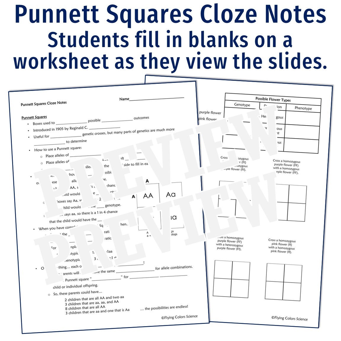 Punnett Squares Notes and Quiz - Flying Colors Science