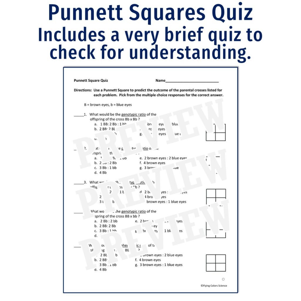 Punnett Squares Notes and Quiz - Flying Colors Science