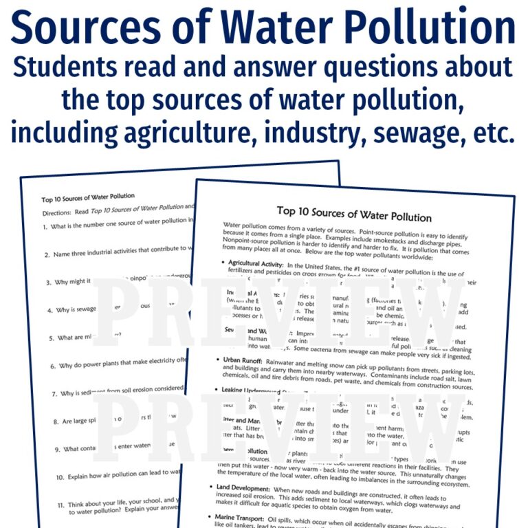 Types of Pollution Worksheet Set - Flying Colors Science