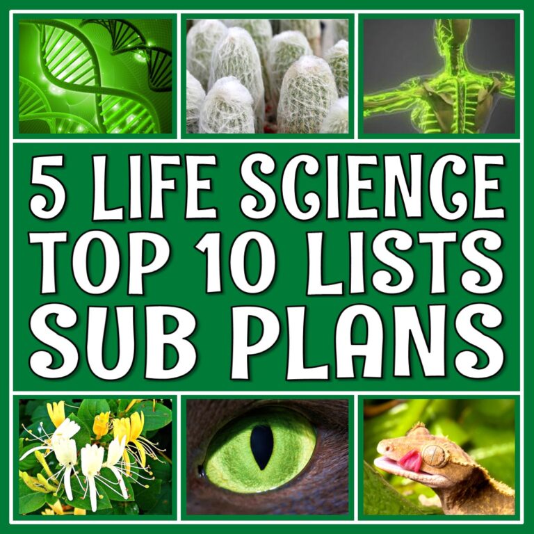 Cell Energy Unit: Photosynthesis and Cellular Respiration Activities ...