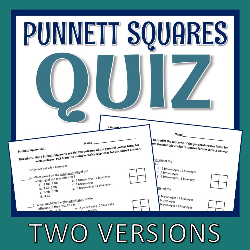 Punnett Squares Quiz - Flying Colors Science