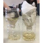 Water Pollution Activities - Flying Colors Science