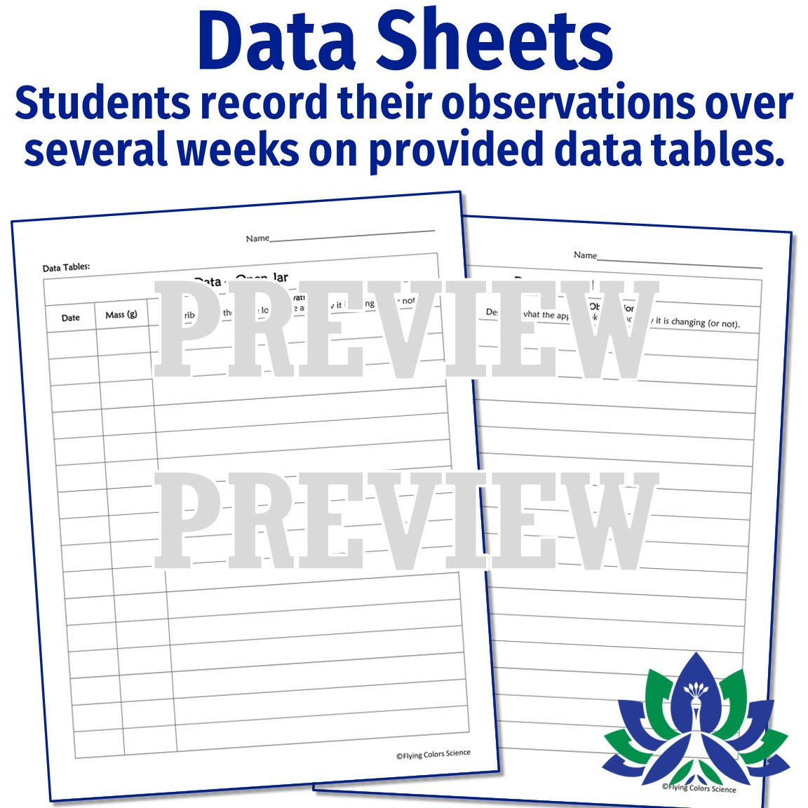 Law of Conservation of Mass Activity with Reading - Flying Colors Science