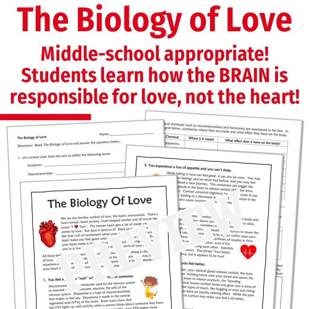 Valentine's Day Science Articles and Worksheets - Flying Colors Science