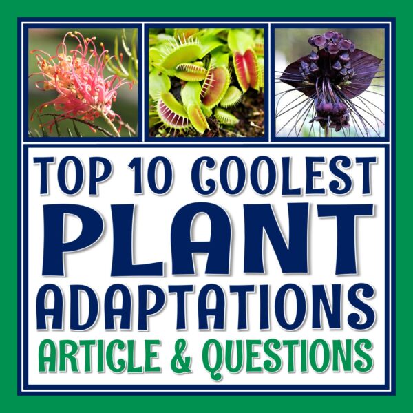 10 Weirdest Plant Adaptations Reading and Questions - Flying Colors Science