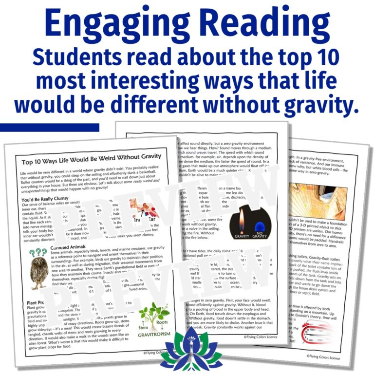Life Without Gravity Reading Article and Worksheet - Flying Colors Science