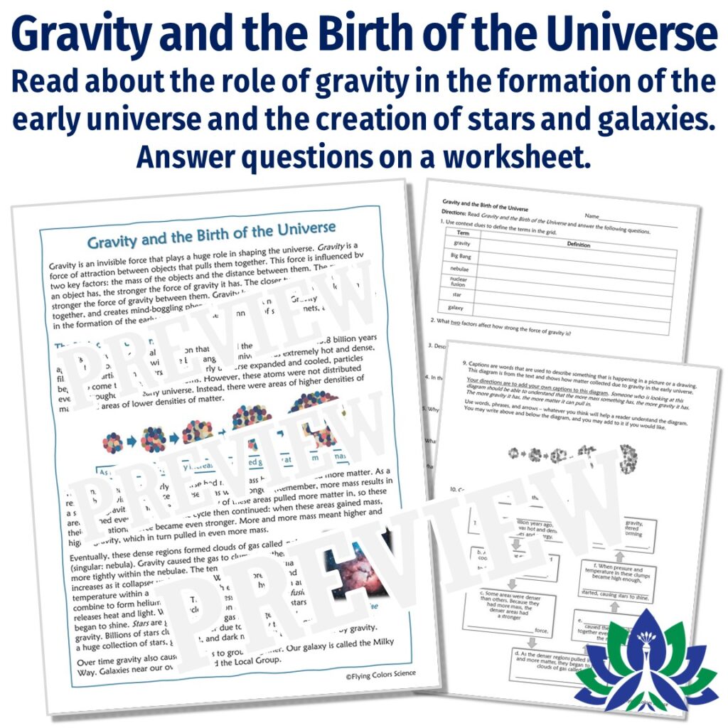 Gravity Unit with Notes, Activities, and Gravity Test - Flying Colors ...