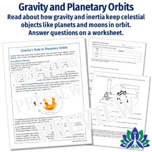 Gravity Unit with Notes, Activities, and Gravity Test - Flying Colors ...