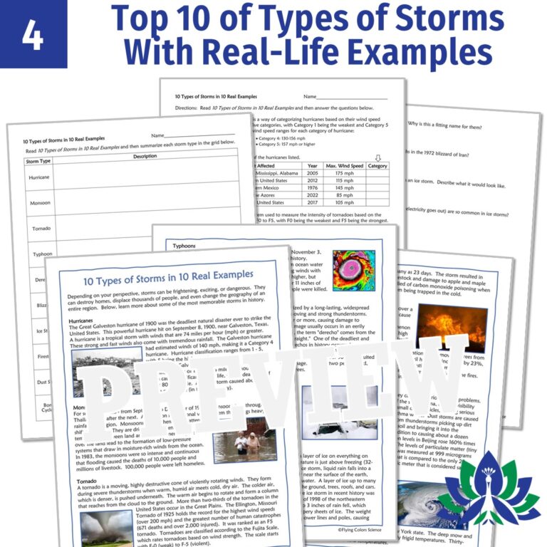 Science Sub Plans for Middle and High School MEGA BUNDLE - Flying ...