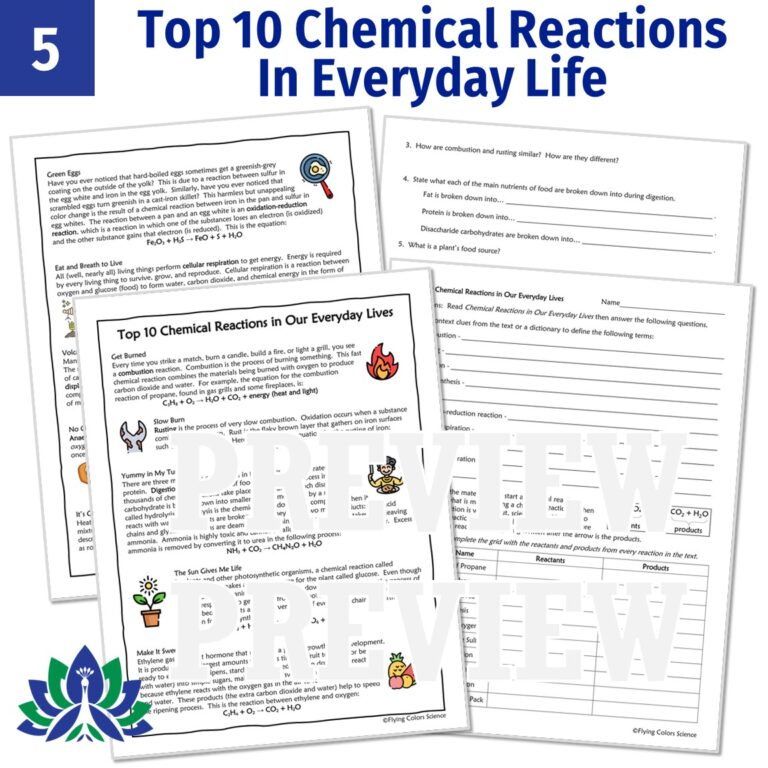 Science Sub Plans for Middle and High School MEGA BUNDLE - Flying ...