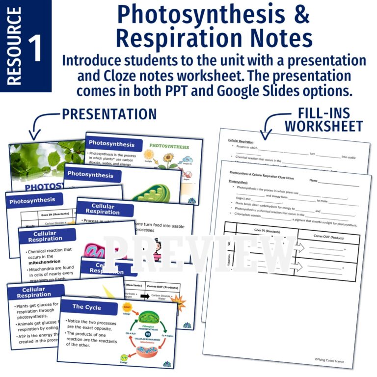 Cell Energy Unit: Photosynthesis and Cellular Respiration Activities ...