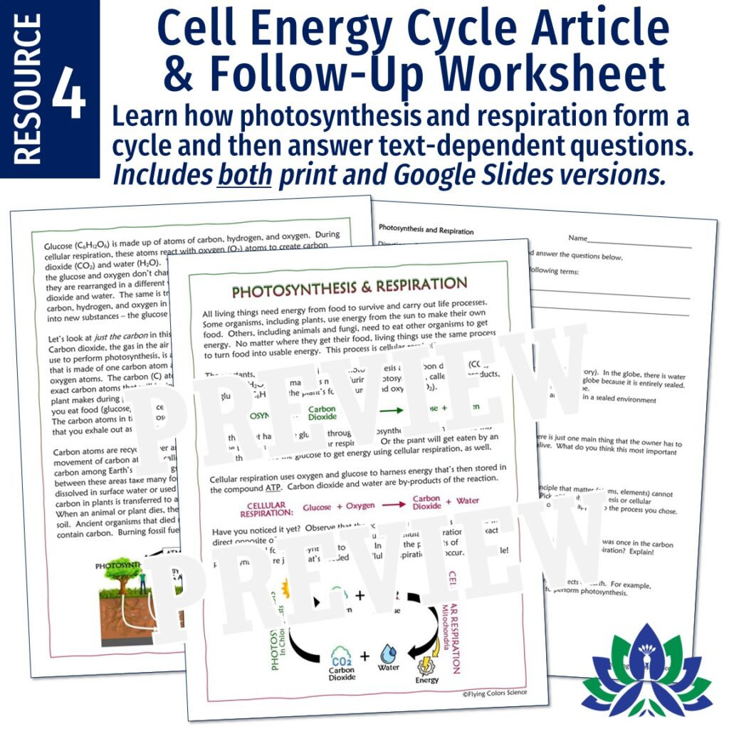 Cell Energy Unit: Photosynthesis and Cellular Respiration Activities ...