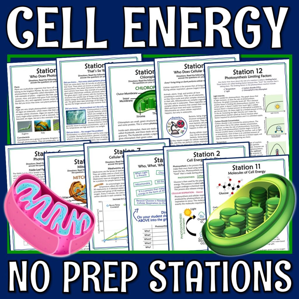 Photosynthesis and Respiration Activity: Cell Energy Stations - Flying ...