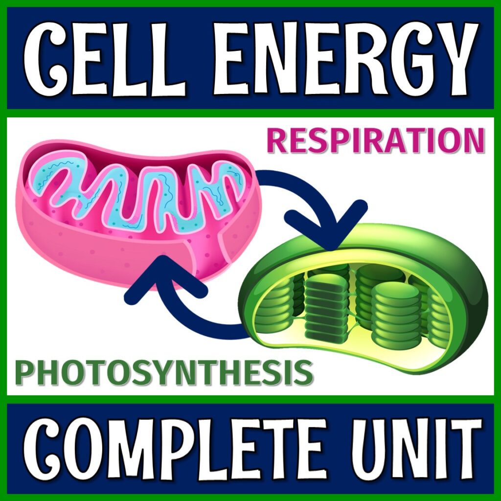 Cell Energy Unit: Photosynthesis and Cellular Respiration Activities ...