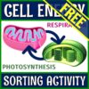 Cell Energy Unit: Photosynthesis and Cellular Respiration Activities ...
