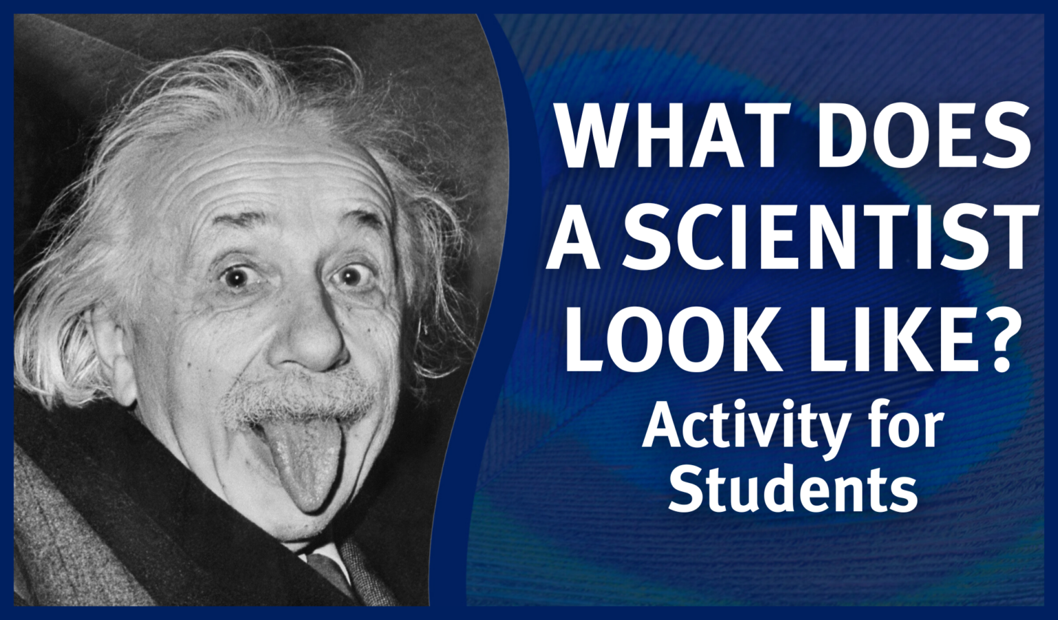 What Does a Scientist Look Like Activity - Flying Colors Science