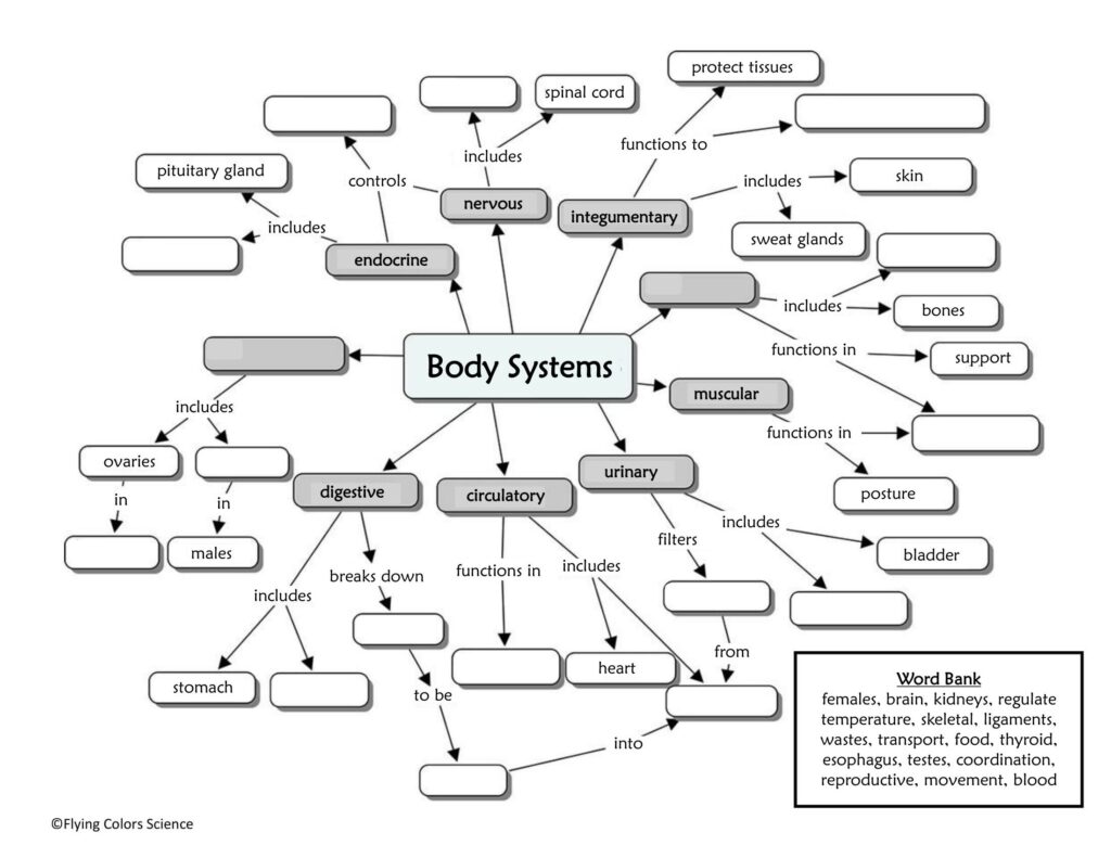 6 Science Vocabulary Activities - Flying Colors Science