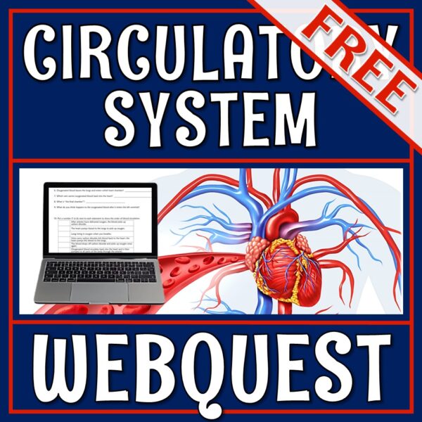 Circulatory System Activities - Flying Colors Science