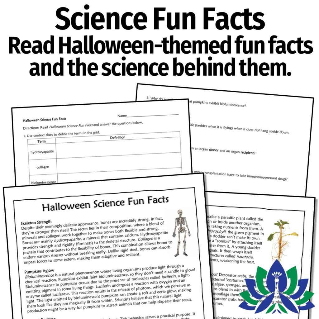 Halloween Science Activities BIG BUNDLE - Flying Colors Science