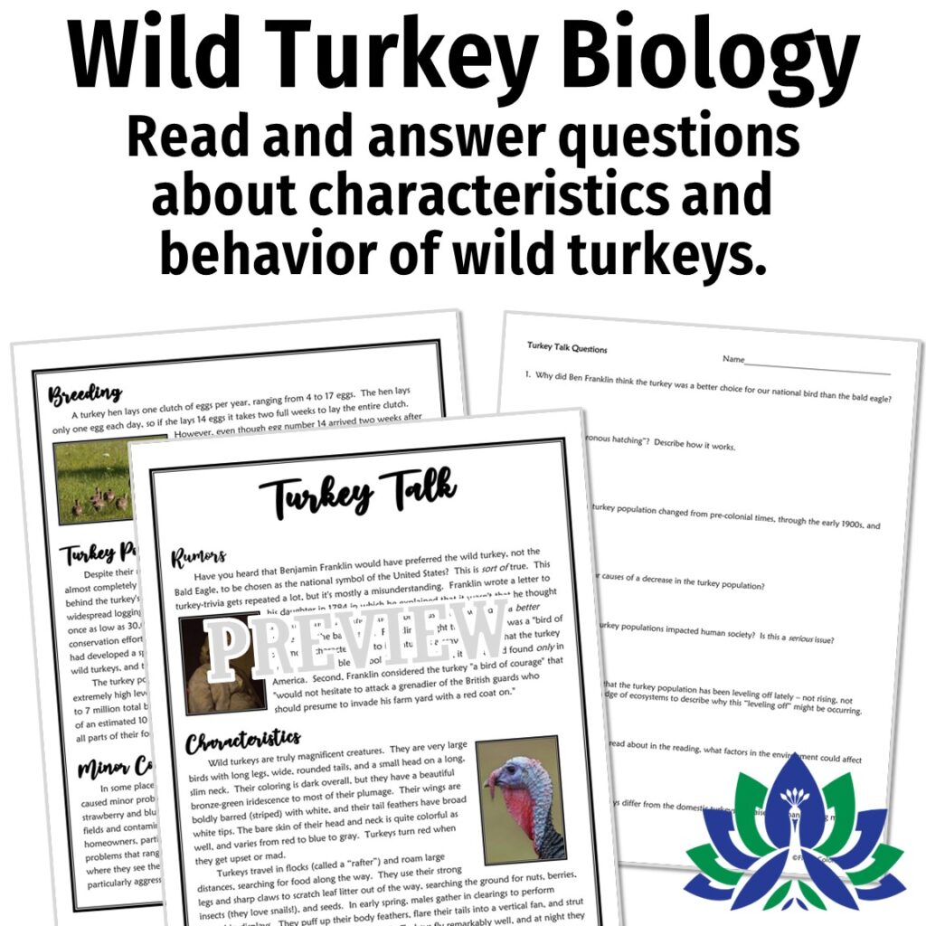 Thanksgiving Science Activity Big Bundle - Flying Colors Science