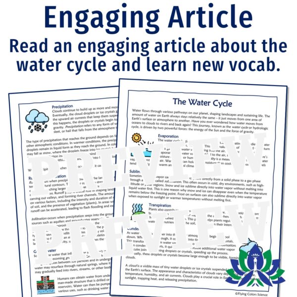 Water Cycle Guided Reading and Worksheets - Flying Colors Science