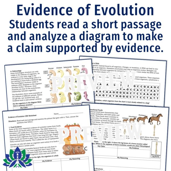 Evolution Evidence Activity: CER Worksheet - Flying Colors Science