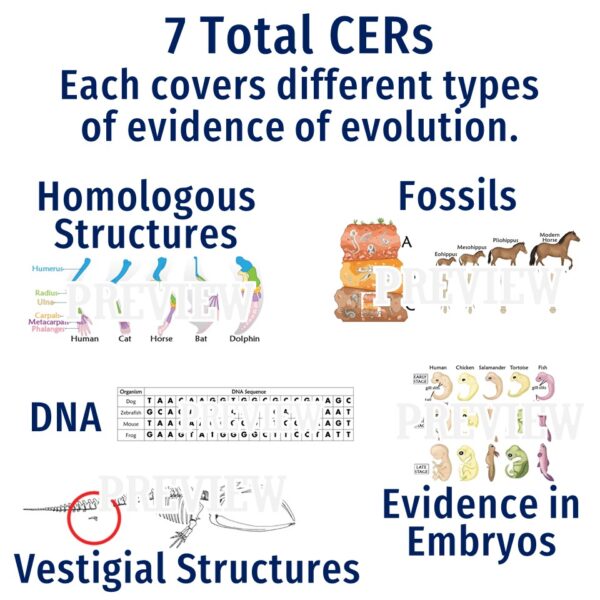 Evolution Evidence Activity: CER Worksheet - Flying Colors Science