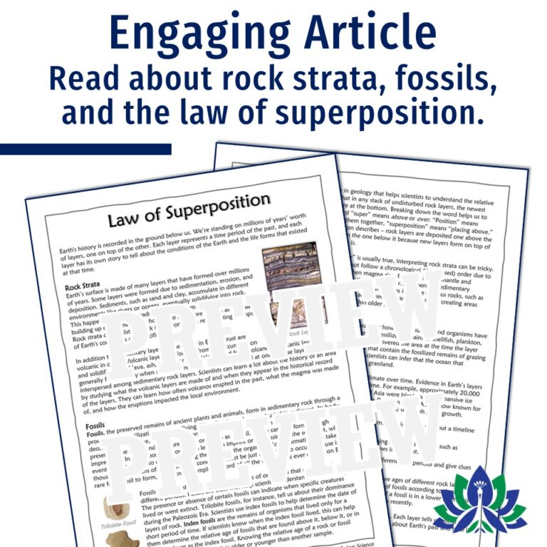 Law of Superposition Reading and Worksheet - Flying Colors Science