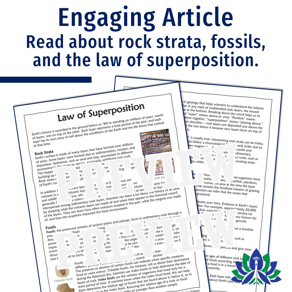Law of Superposition Reading and Worksheet - Flying Colors Science