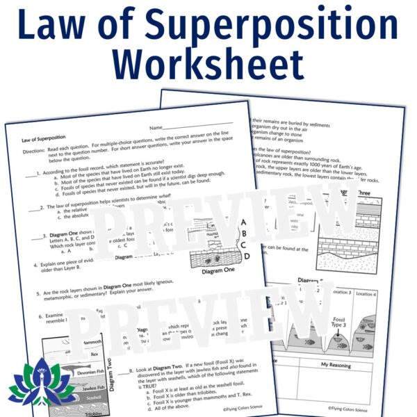 Geologic Time Activities Bundle - Flying Colors Science