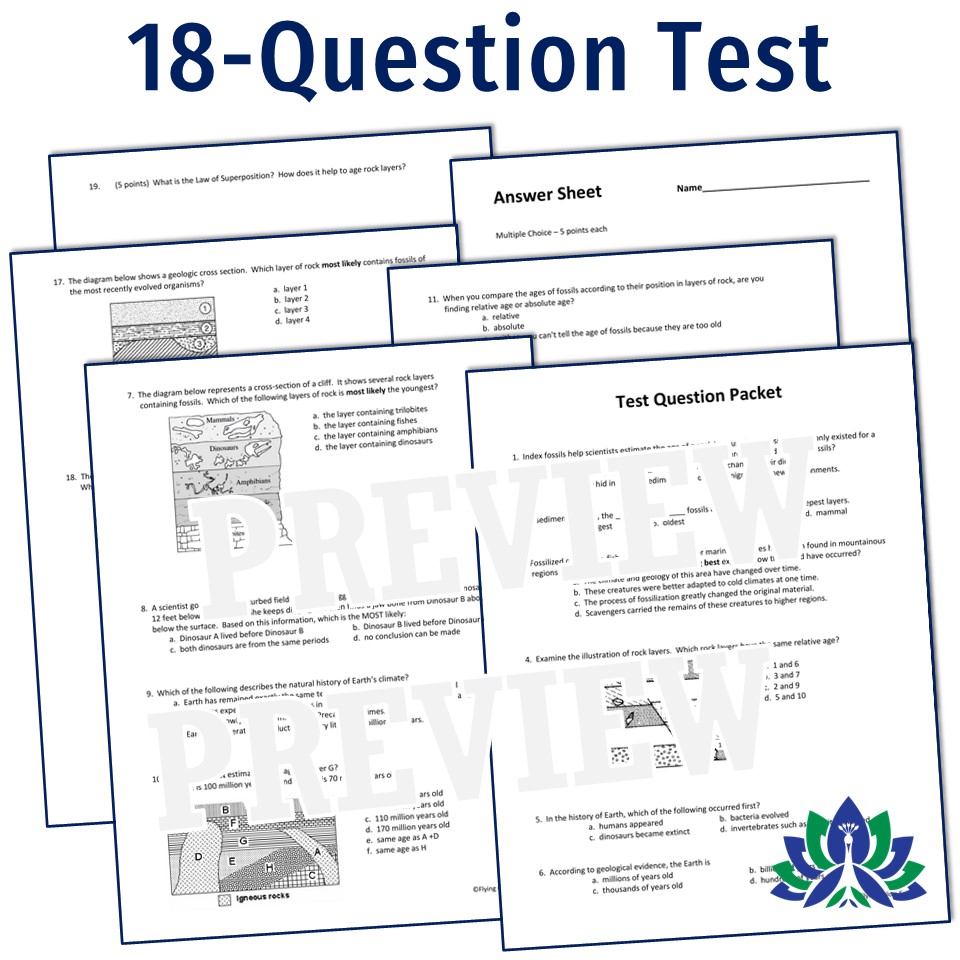 Geologic Time Activities Bundle - Flying Colors Science