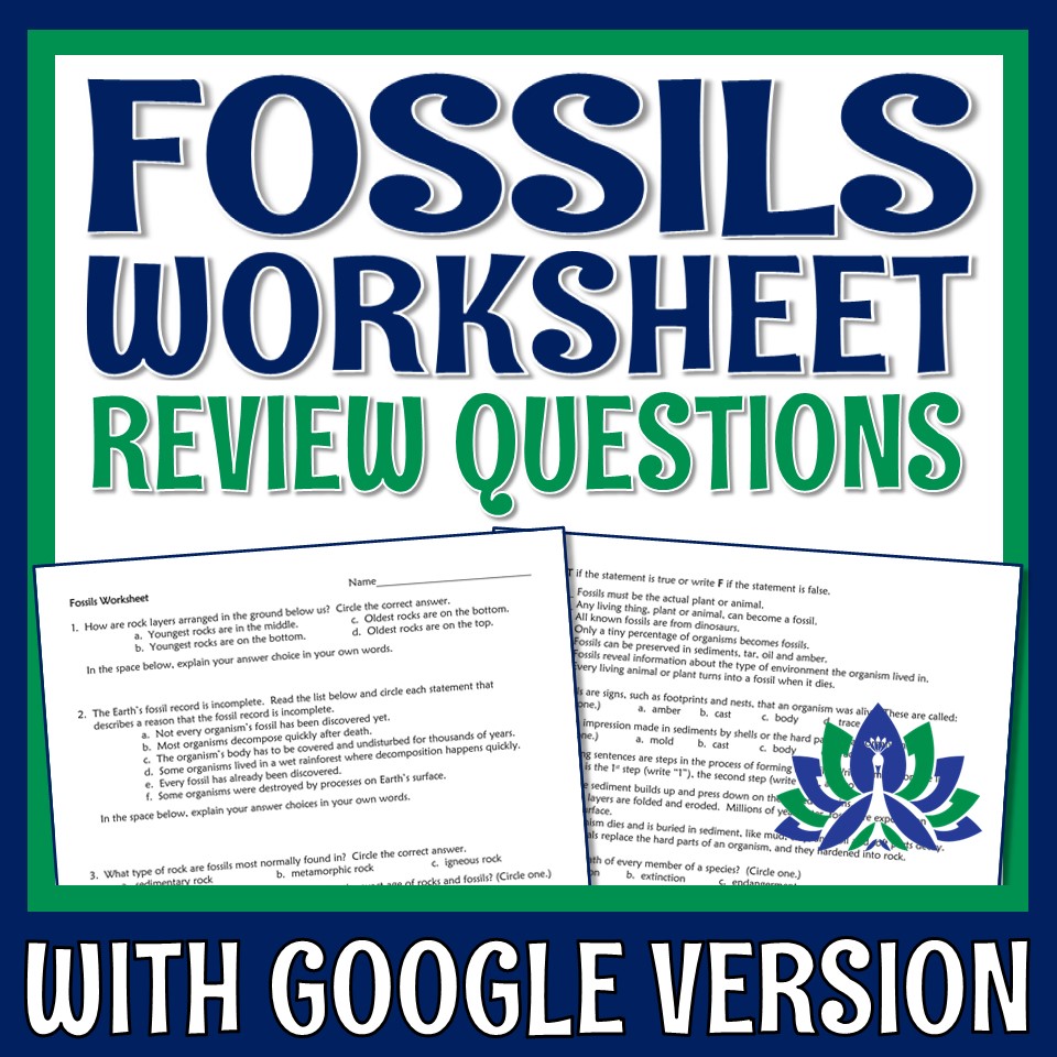 Fossils Worksheet - Flying Colors Science Fossils Worksheet - Flying Colors Science