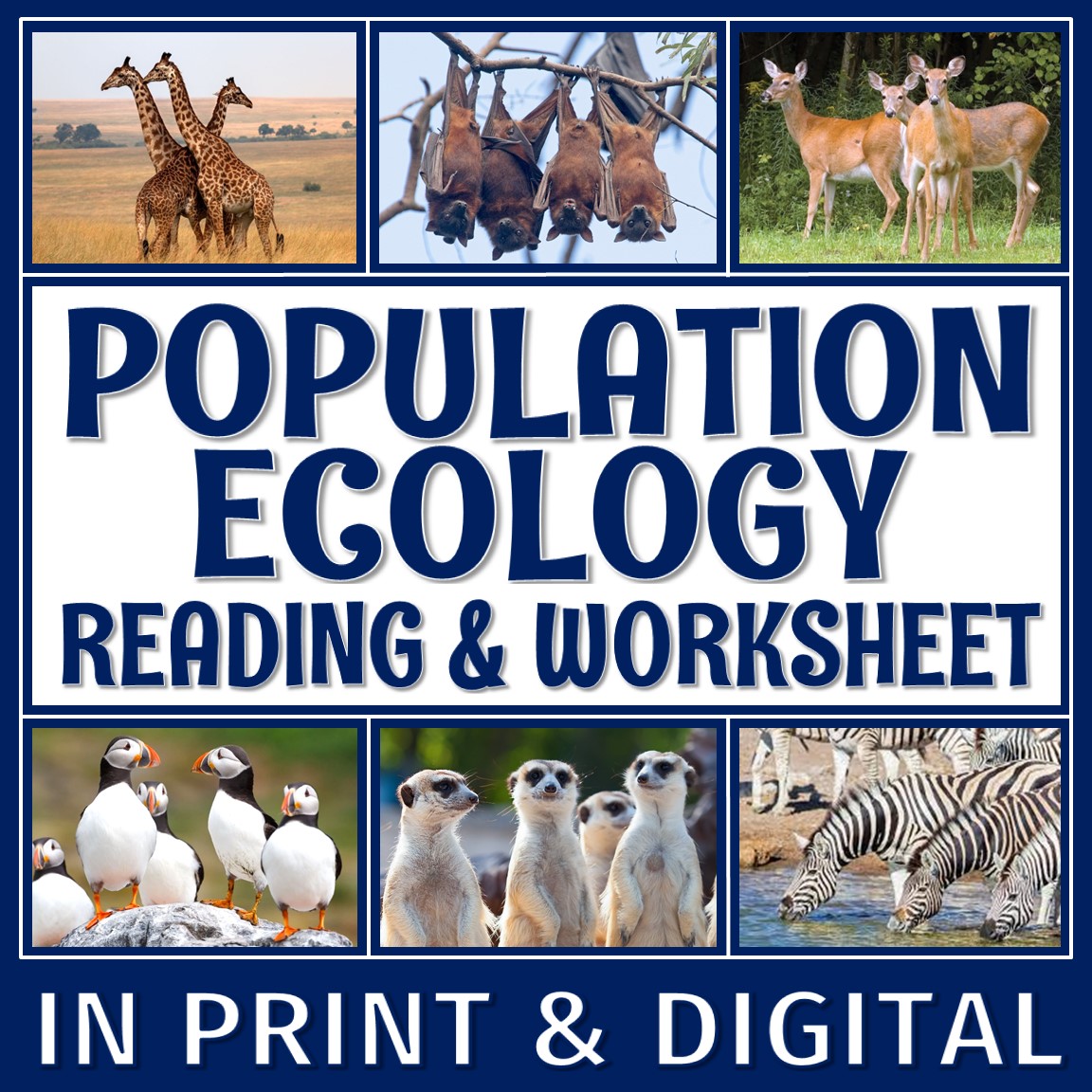 Population Ecology Activities and Lessons - Flying Colors Science