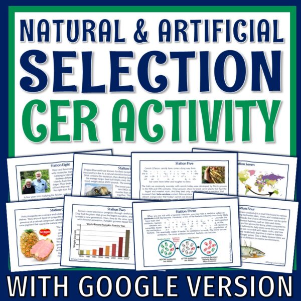Natural and Artificial Selection Activity: CER Stations - Flying Colors ...