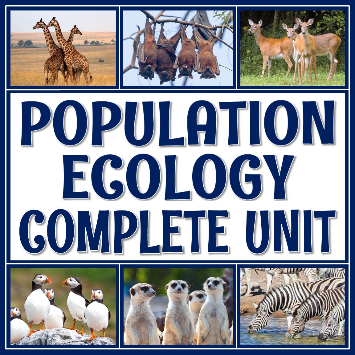 Population Ecology Activities and Lessons - Flying Colors Science