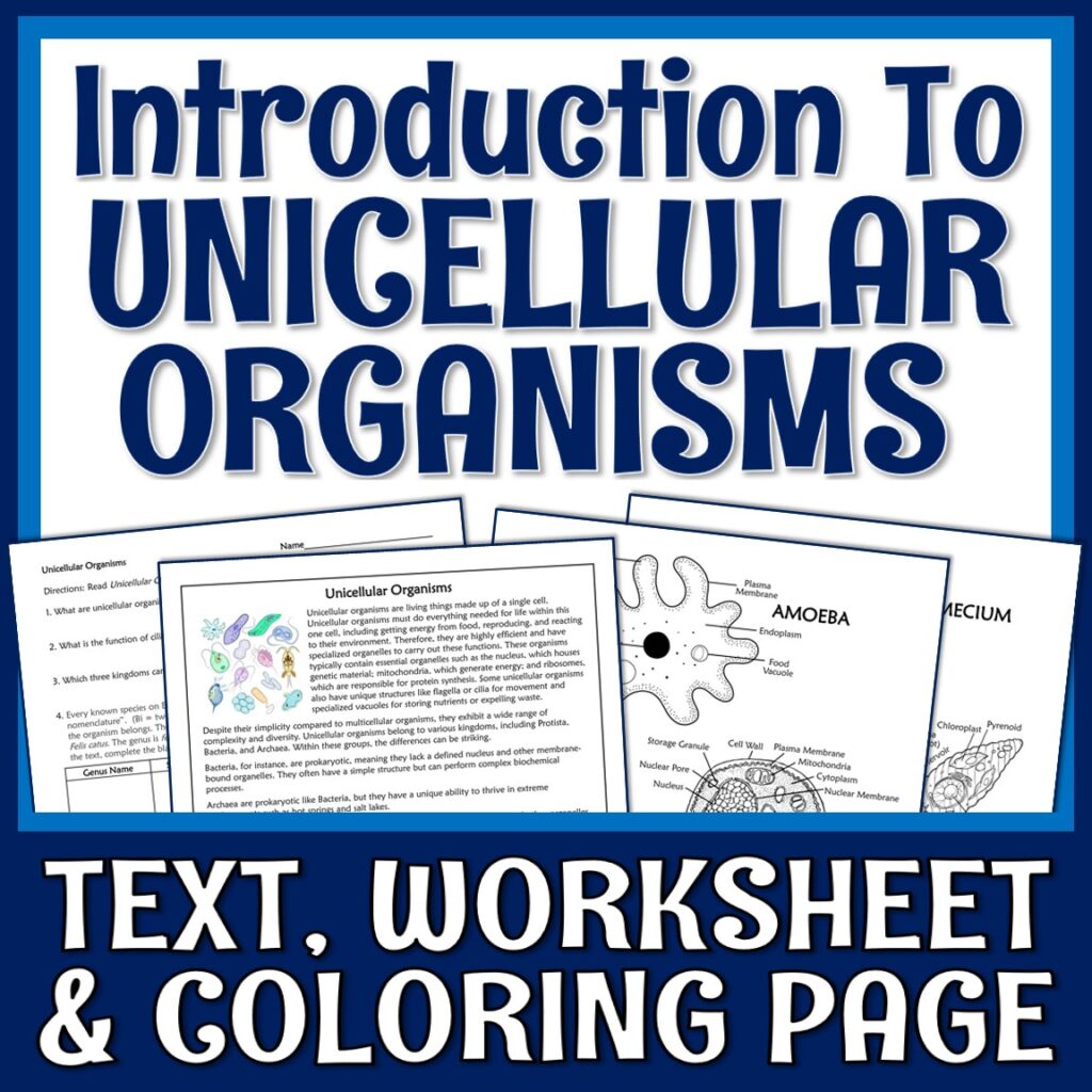 Unicellular Organisms Coloring Pages and Worksheet - Flying Colors Science