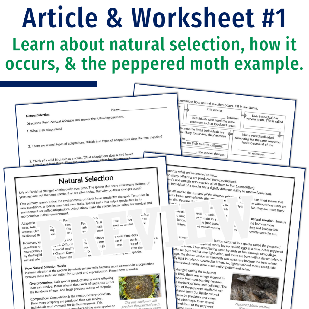 Natural Selection Reading and Worksheet - Flying Colors Science
