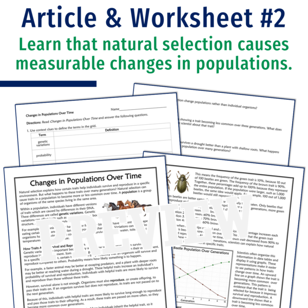 Natural Selection Reading and Worksheet - Flying Colors Science