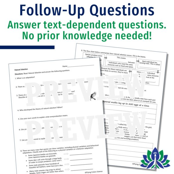 Natural Selection Reading and Worksheet - Flying Colors Science