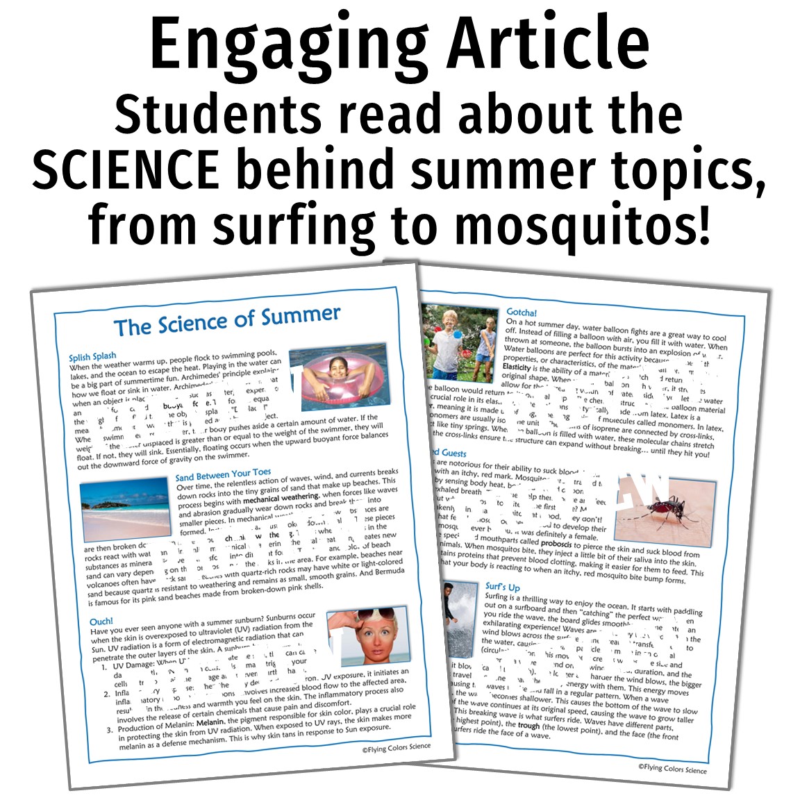 The Science of Summer Reading and Worksheet - Flying Colors Science