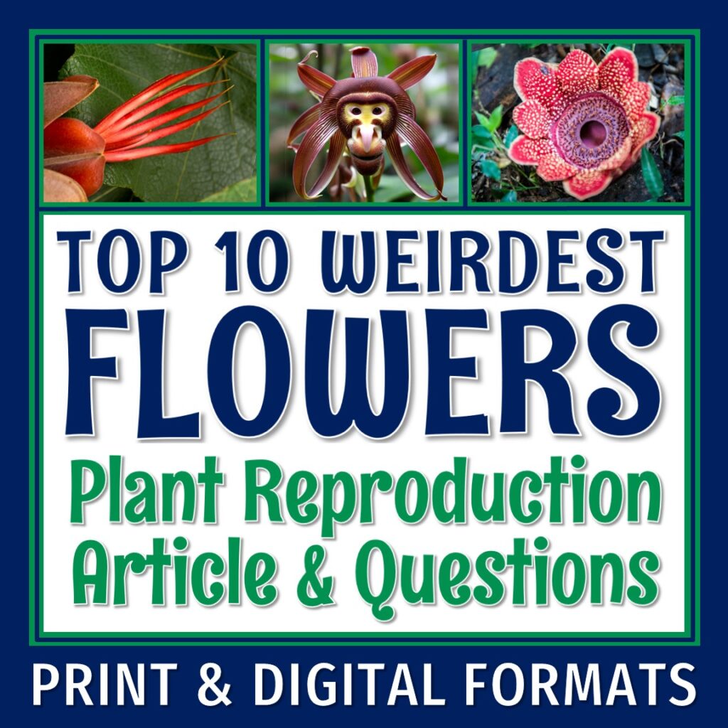 Fun Specialized Plant Structures Reading and Worksheet - Flying Colors ...
