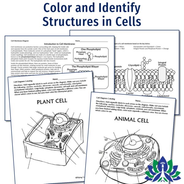 Cells and Organelles Worksheets Set - Flying Colors Science