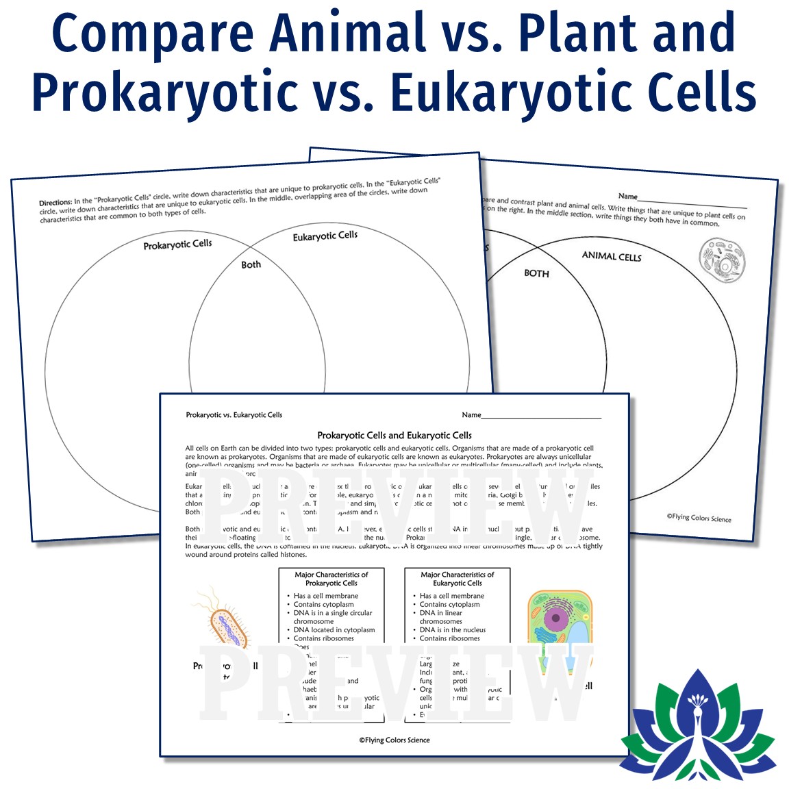 Cells and Organelles Worksheets Set - Flying Colors Science