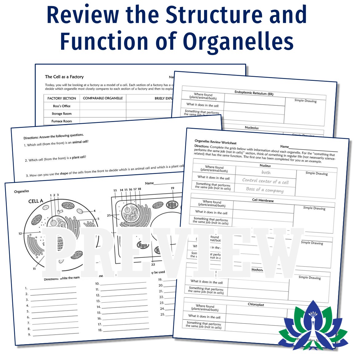 Cells and Organelles Worksheets Set - Flying Colors Science