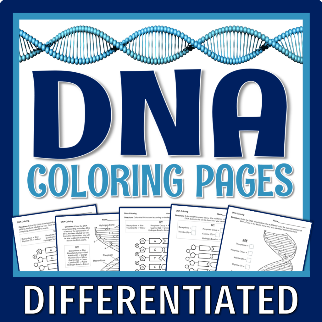 DNA Coloring Worksheet - Flying Colors Science