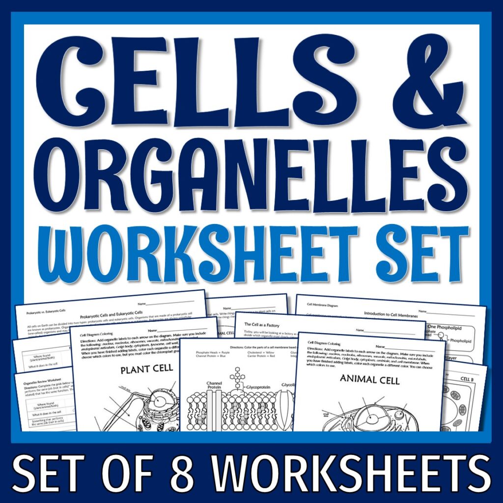 Cells and Organelles Worksheets Set - Flying Colors Science