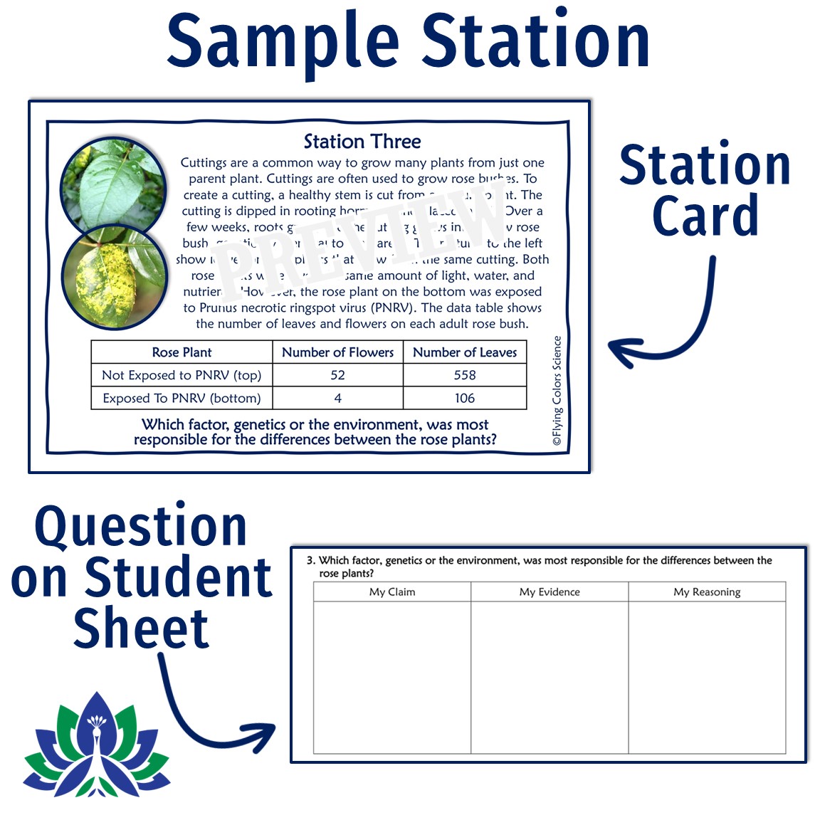 Environmental and Genetic Factors Influence the Growth of Organisms ...