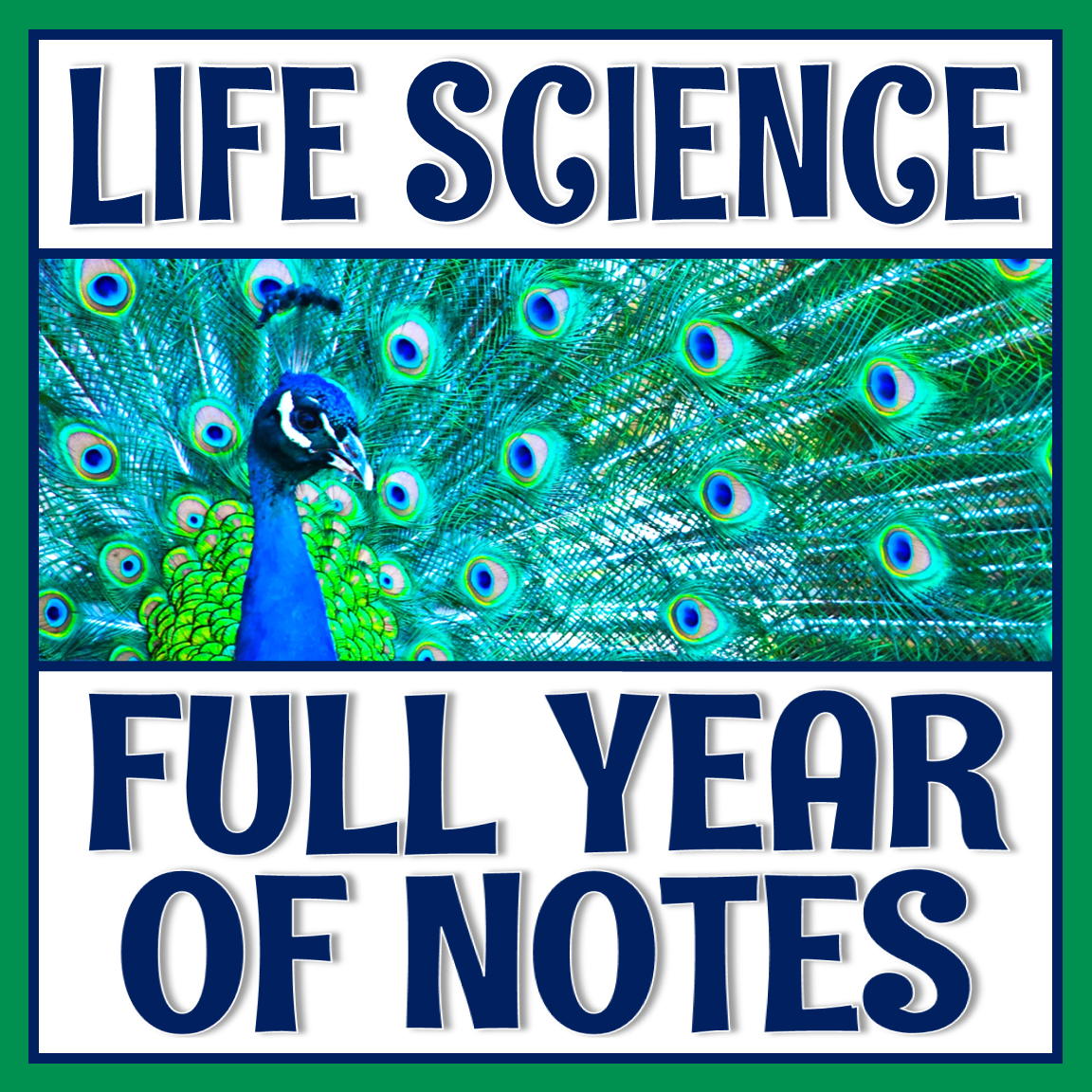 Full Year of Middle School NGSS Life Science Notes - Flying Colors Science