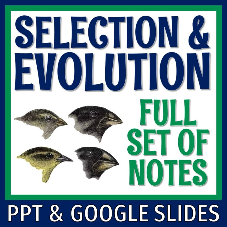Middle School Evolution Notes - Flying Colors Science